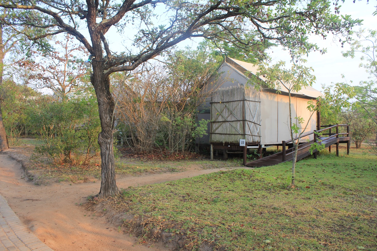 Review: Nkambeni Safari Camp - Live and Let's Fly