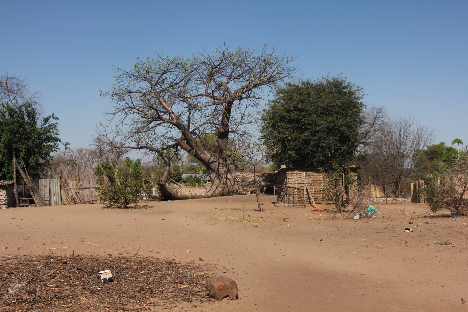 Impalila Island, Namibia: Travel & Reflections