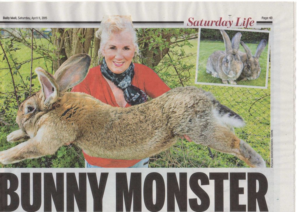 Playboy Bunny's Giant Rabbit Dies on United Flight - Live and Let's Fly