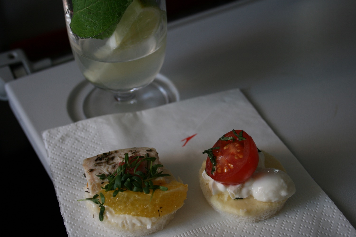 A Perfect Steak on Austrian Airlines - Live and Let's Fly