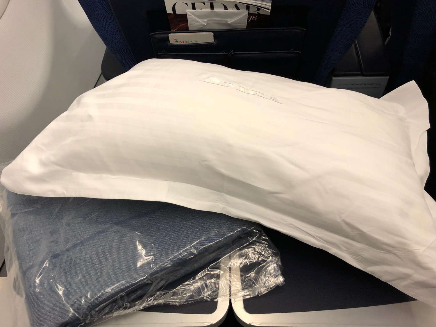 Review: Middle East Airlines A320 Business Class Dubai To Beirut - Live ...
