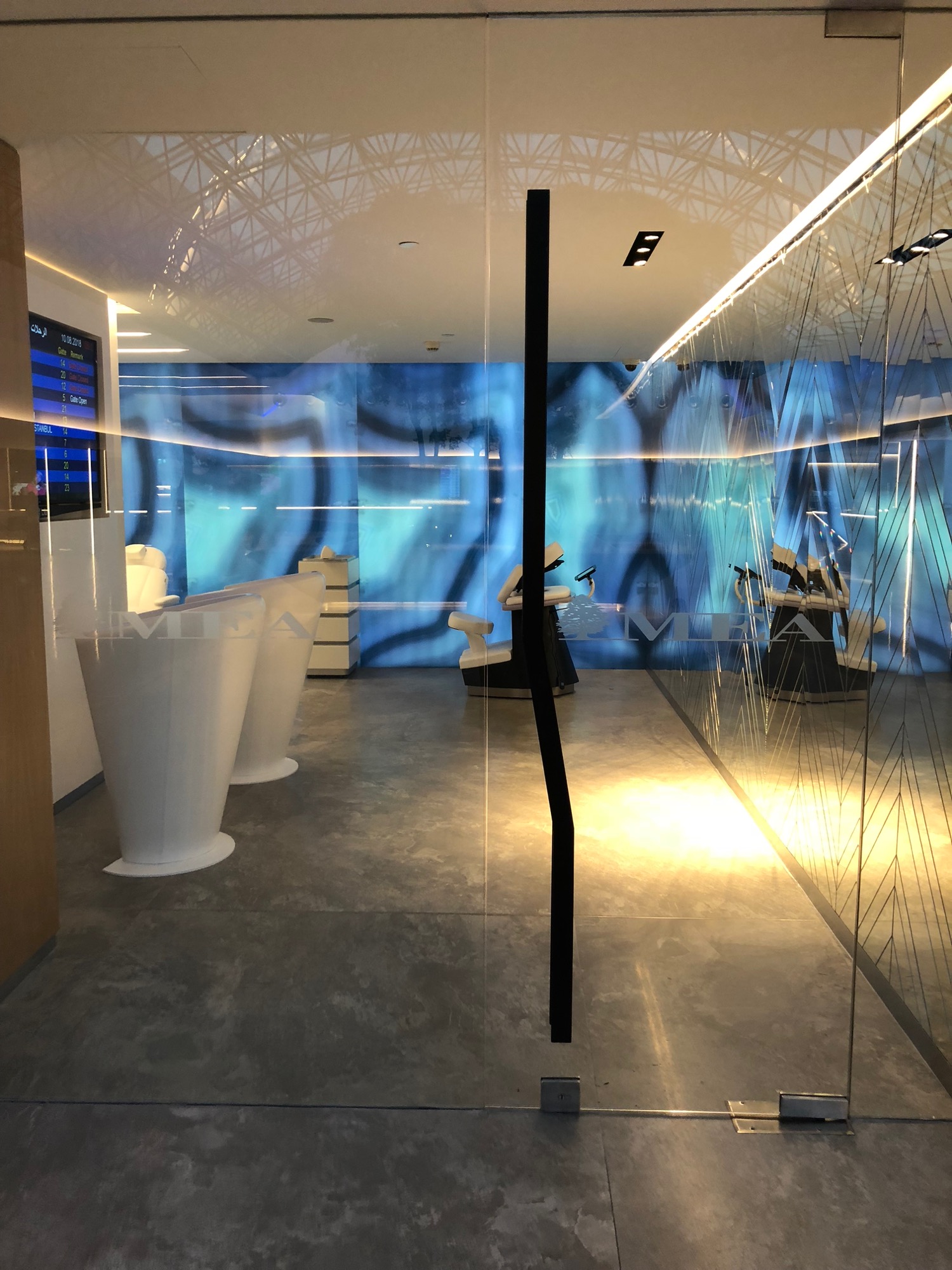 Review: MEA Cedar Lounge Beirut (BEY) - Live and Let's Fly