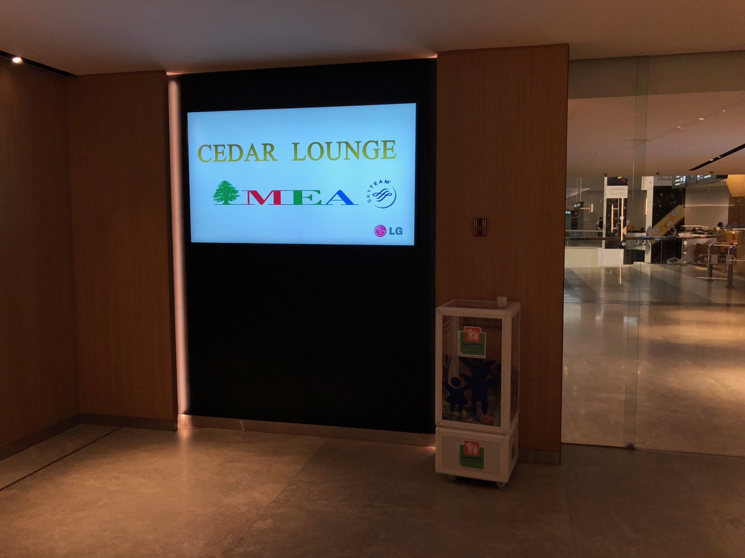 Review: MEA Cedar Lounge Beirut (BEY) - Live and Let's Fly