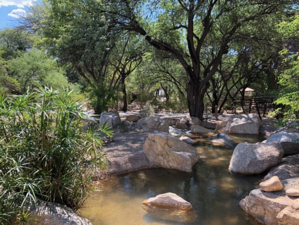 Miraval Arizona Review: Is It Worth the Luxury? [2025]