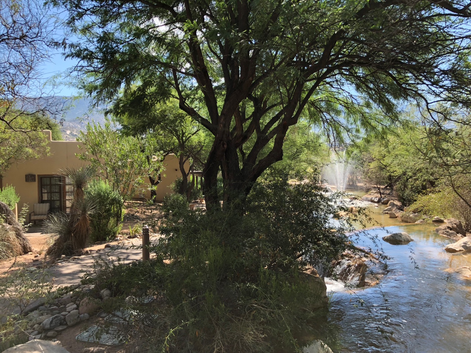Review: Miraval Arizona Resort & Spa - Live and Let's Fly