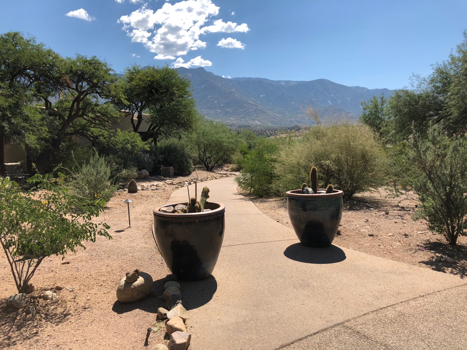 Miraval Arizona Review: Is It Worth the Luxury? [2025]