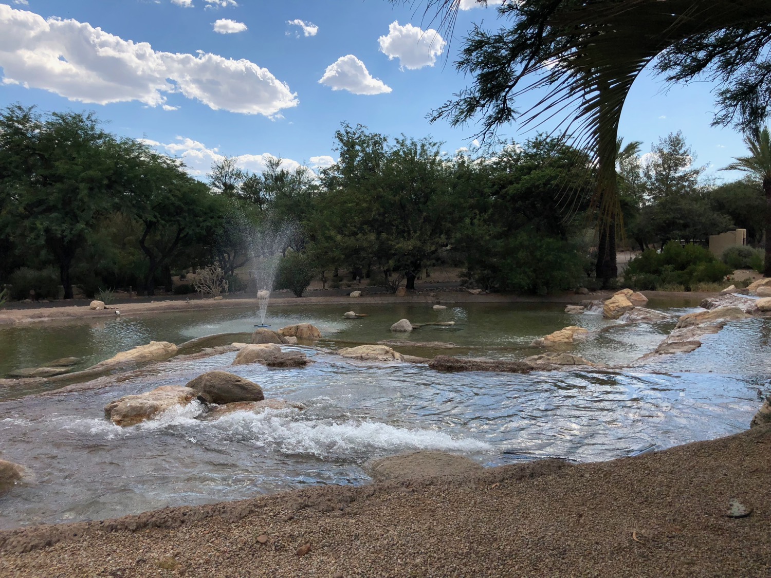Miraval Arizona Review: Is It Worth the Luxury? [2025]