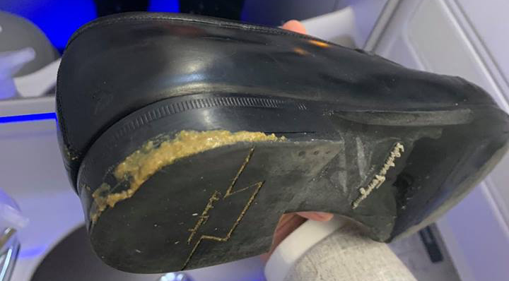 Man Sits In Dog Poop On Delta Flight, Flight Attendants Shrug, Gate ...