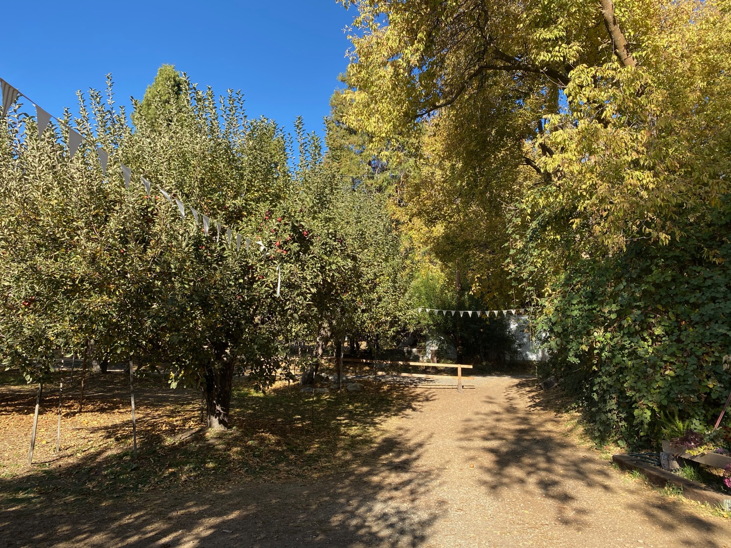 A Weekend In The Heartland Of California - Live and Let's Fly
