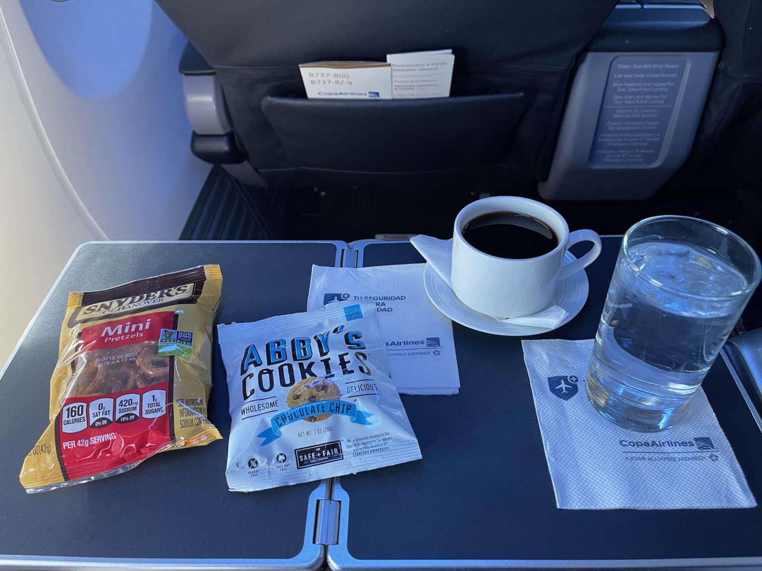 Review: Copa Airlines 737-800 Business Class - Live and Let's Fly