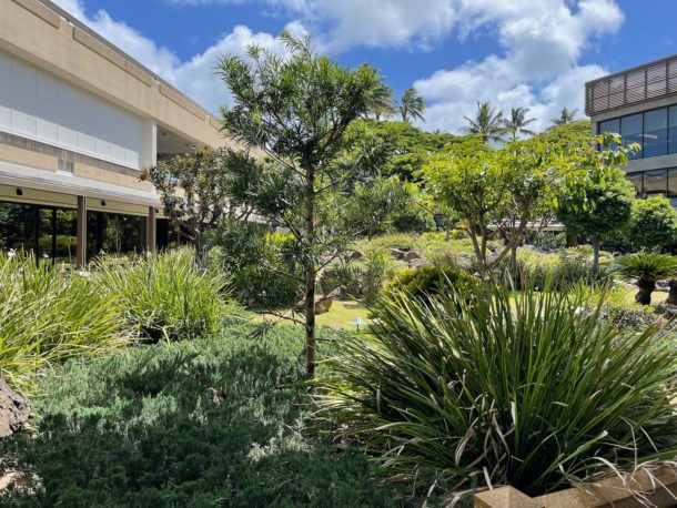 The Beautiful Gardens Of Honolulu Airport - Live and Let's Fly