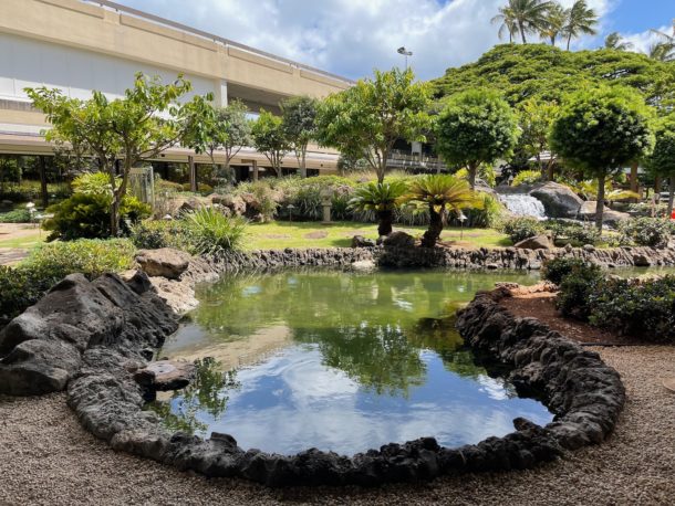 The Beautiful Gardens Of Honolulu Airport - Live and Let's Fly