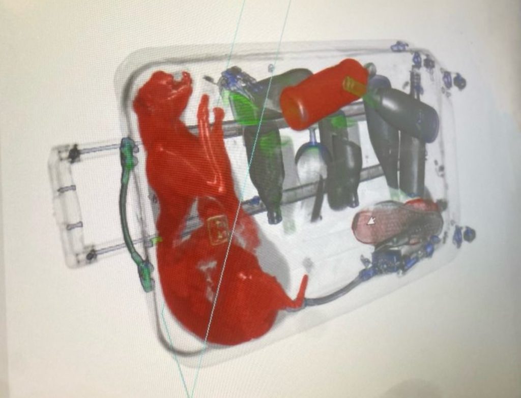 TSA Finds Clandestine Cat In Checked Bag At JFK... - Live and Let's Fly