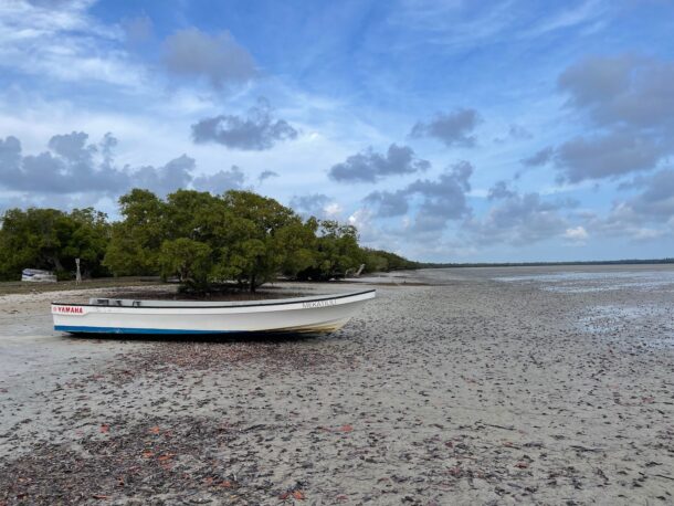 Mida Creek – Watamu, Kenya - Live and Let's Fly