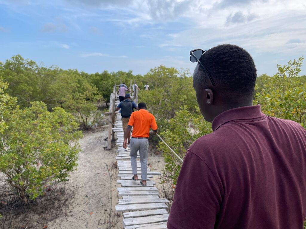 Mida Creek – Watamu, Kenya - Live and Let's Fly
