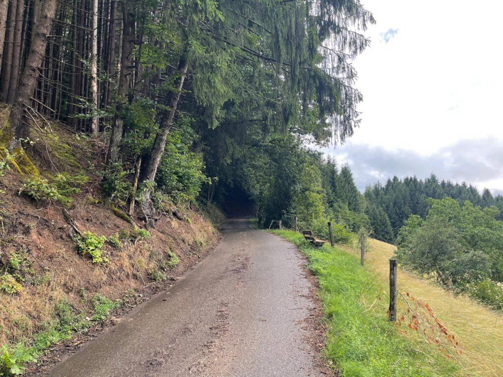 Photo Essay: Summer In Germany - Live and Let's Fly