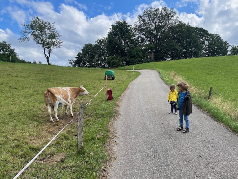 Photo Essay: Summer In Germany - Live and Let's Fly