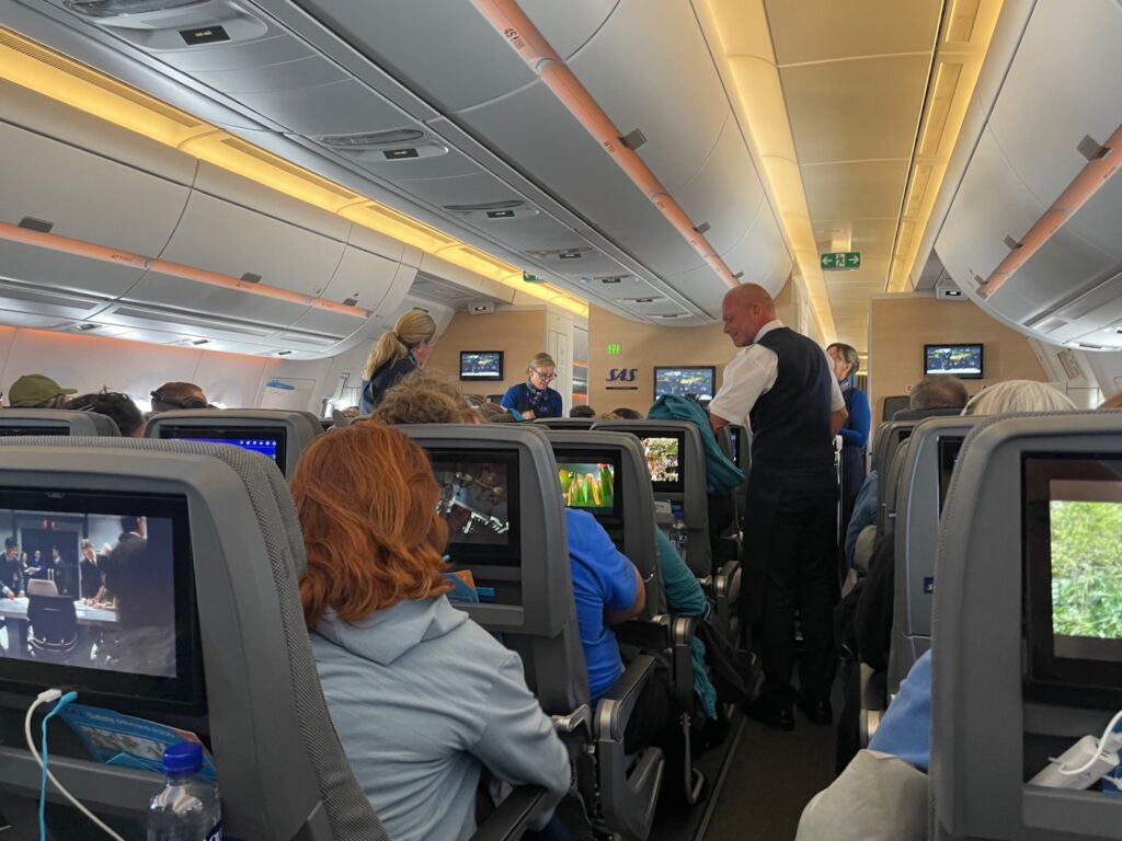 My Premium Menu Experience On SAS (Order A Business Class Meal In ...