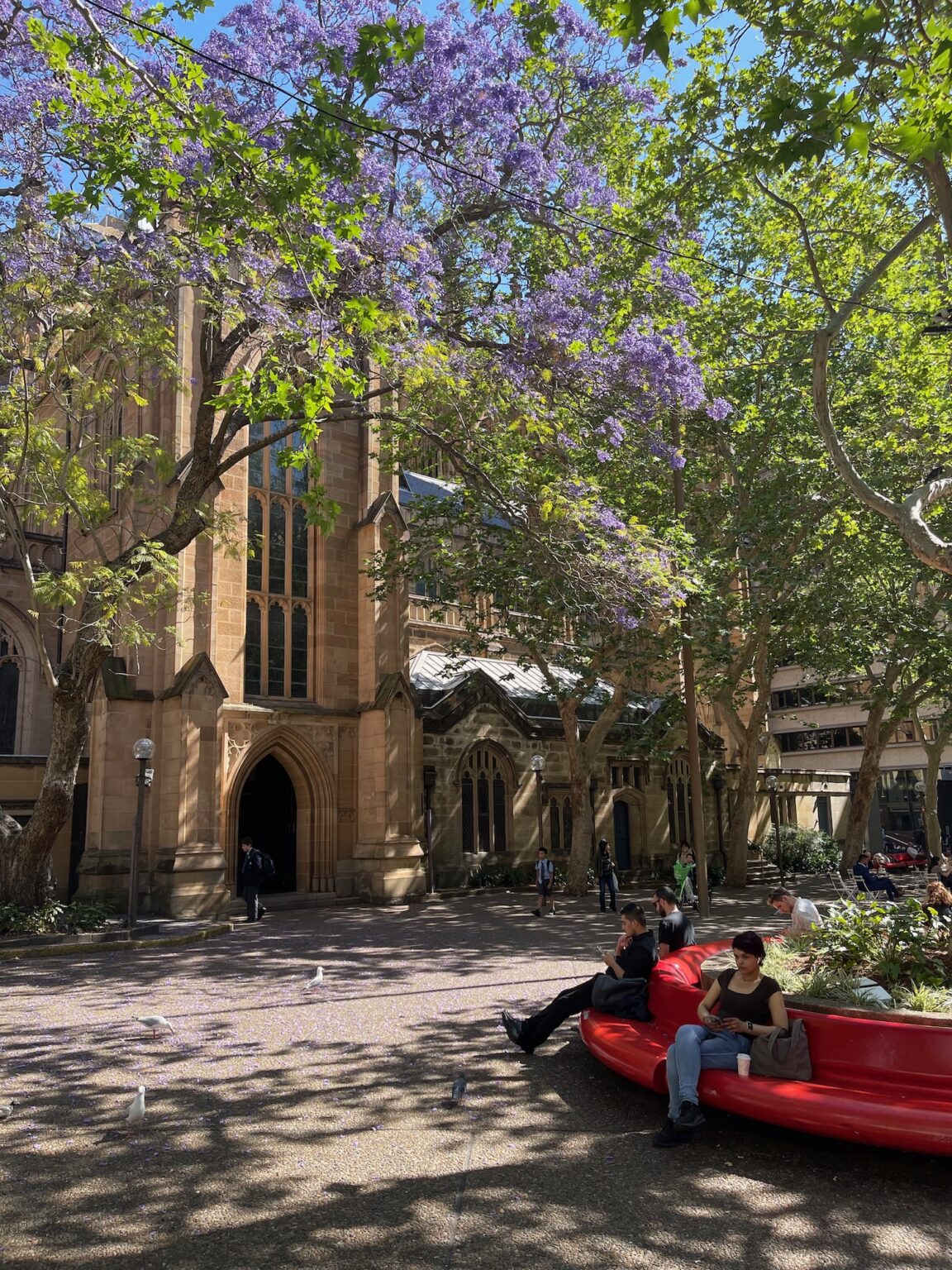 Photo Essay: Springtime In Sydney - Live and Let's Fly