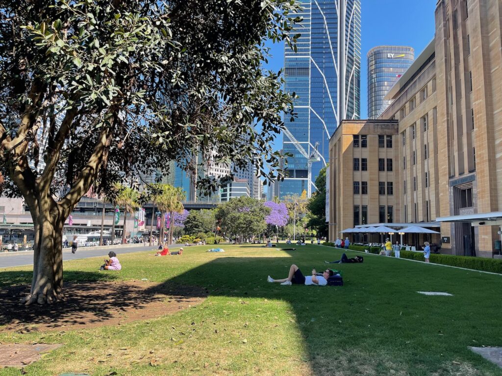 Photo Essay: Springtime In Sydney - Live and Let's Fly