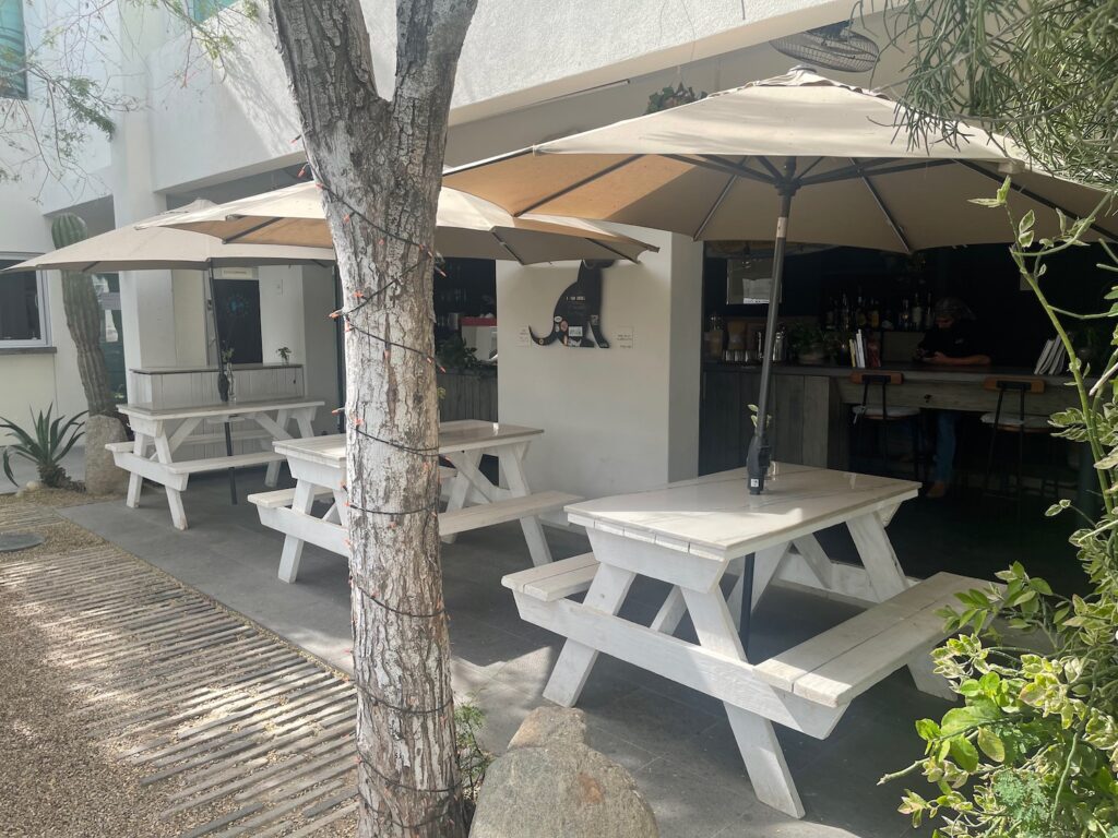 Great Coffee In San José Del Cabo, Baja California Sur - Live and Let's Fly