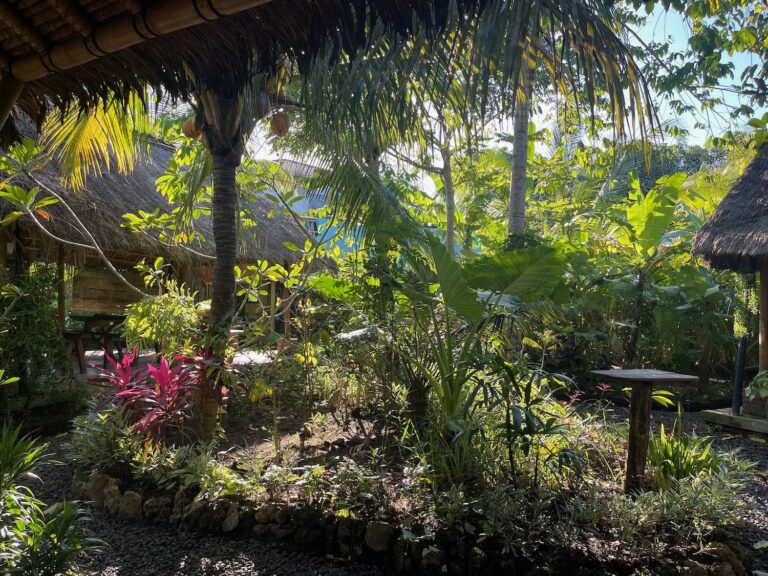 Civet Coffee: My Bali "Poop" Coffee Experience