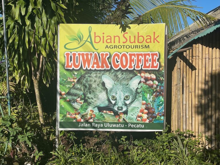 Civet Coffee: My Bali "Poop" Coffee Experience