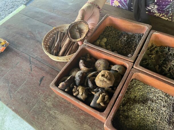 Civet Coffee: My Bali "Poop" Coffee Experience