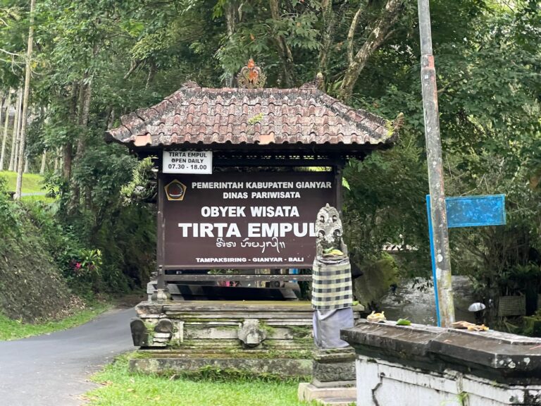 A Ritual Bath At Tirta Empul Temple In Bali - Live and Let's Fly