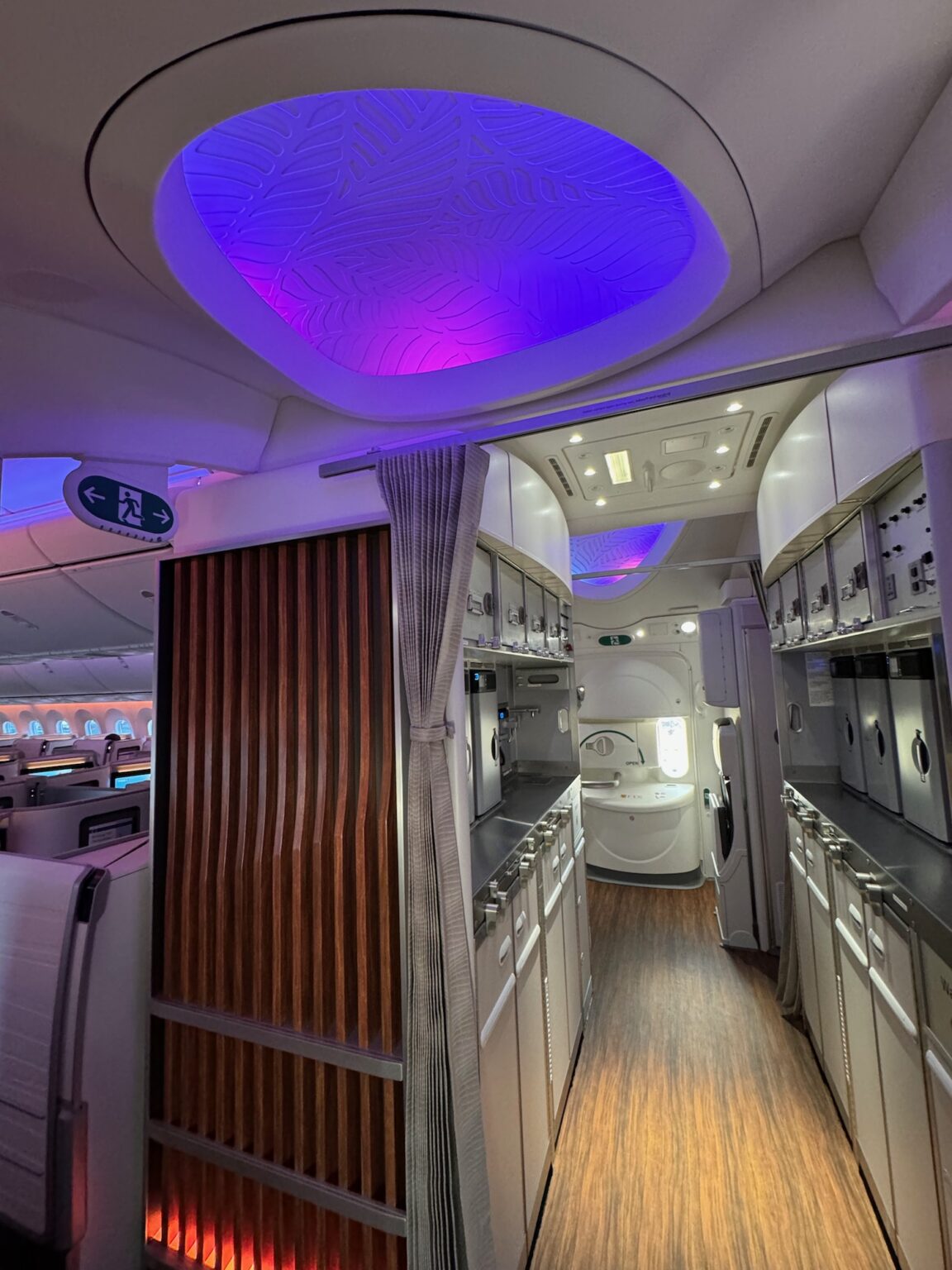 First Look: Hawaiian Airlines 787-9 - Live and Let's Fly