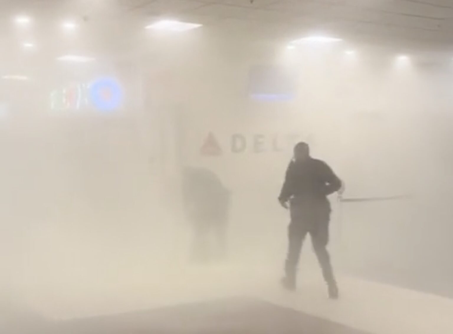 Must Watch: Delta Air Lines Passenger Grabs Fire Extinguisher And ...