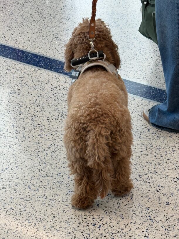 When United Airlines Invited "Families With Young Children" To Preboard ...