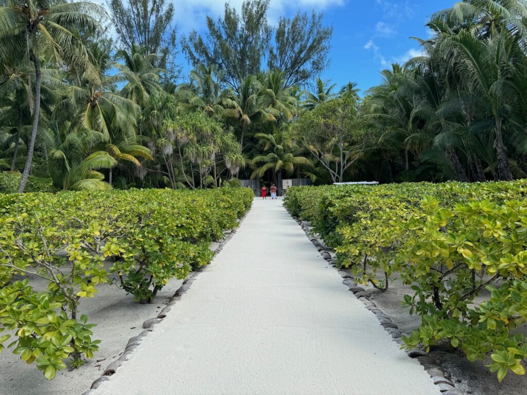 Review: The Brando - Private Island Resort In French Polynesia - Live ...