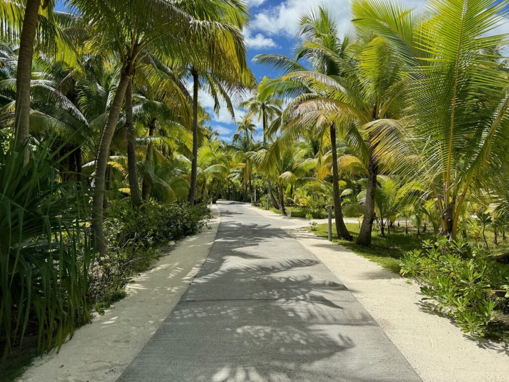 Review: The Brando - Private Island Resort In French Polynesia - Live ...