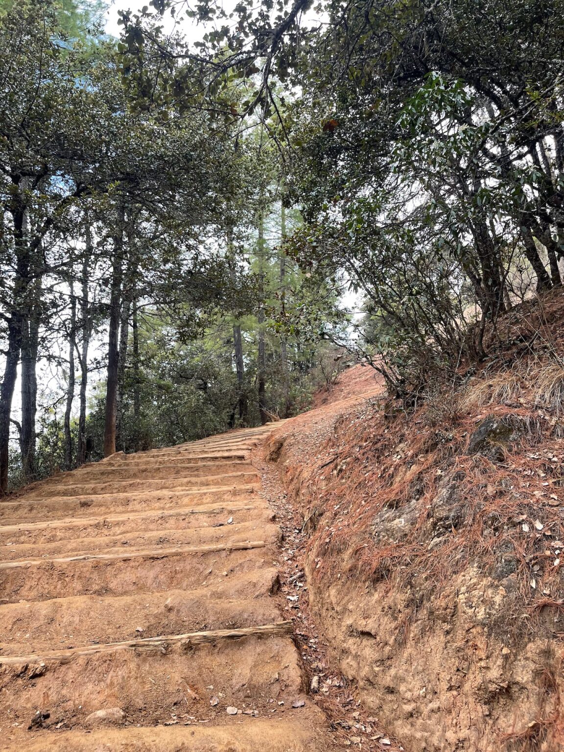 Explore Bhutan: My Journey to the Iconic Tiger's Nest