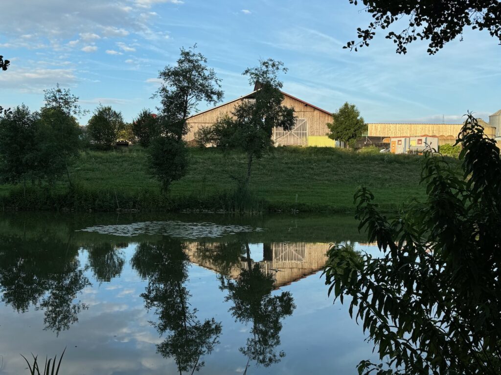A Visit To The Family Farm In Germany - Live and Let's Fly