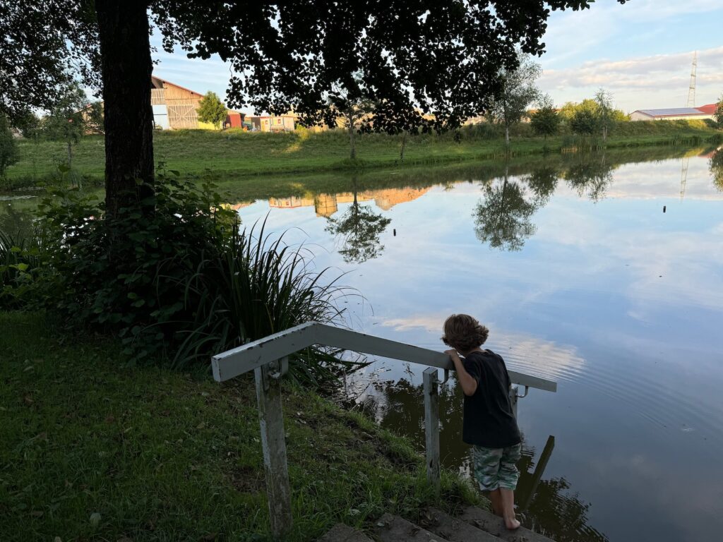A Visit To The Family Farm In Germany - Live and Let's Fly