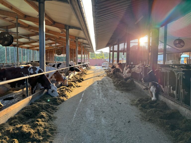A Visit To The Family Farm In Germany - Live and Let's Fly
