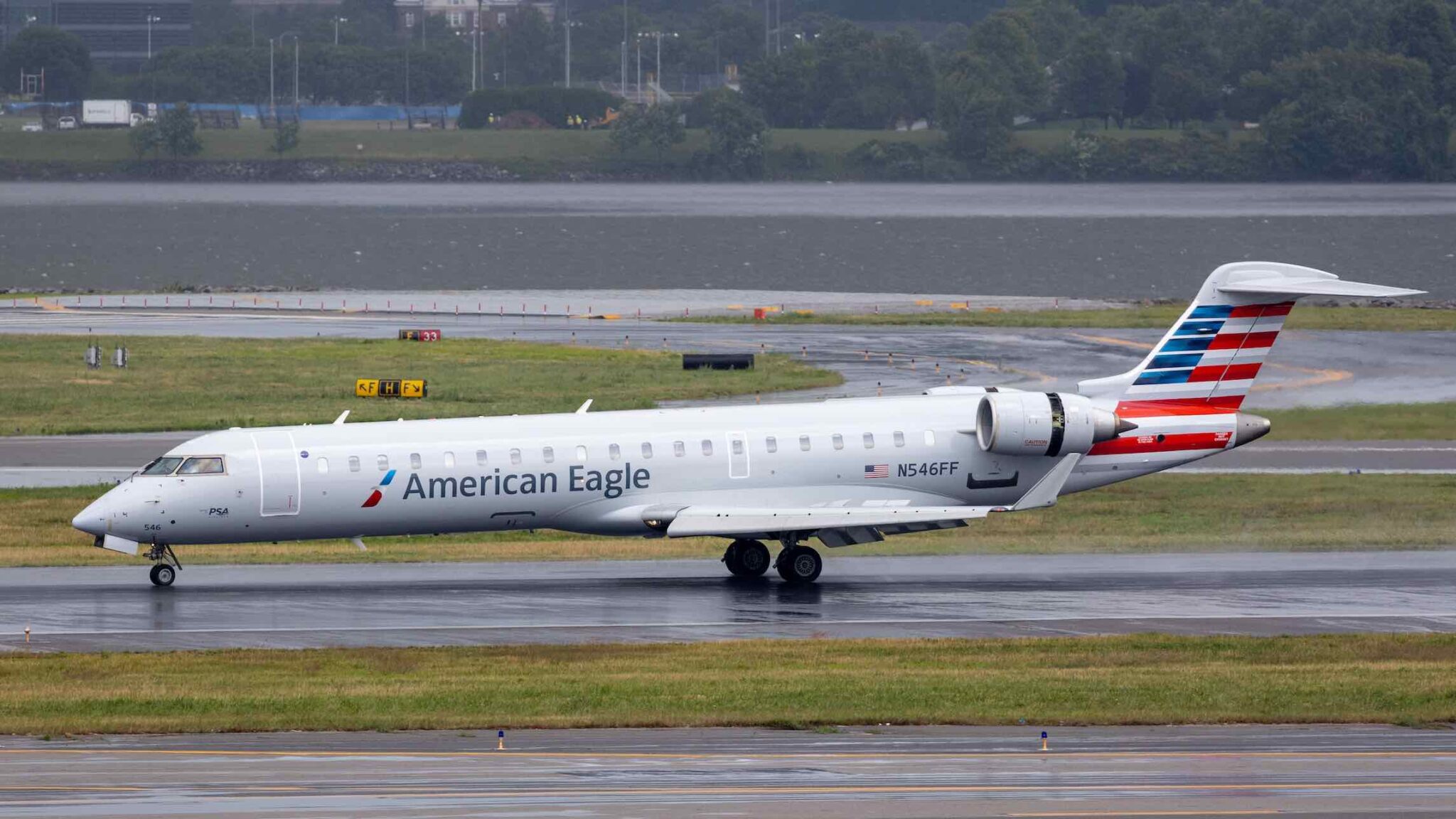 American Flight Diverts After "Service Dog" Attacks Passenger - Live and Let's Fly