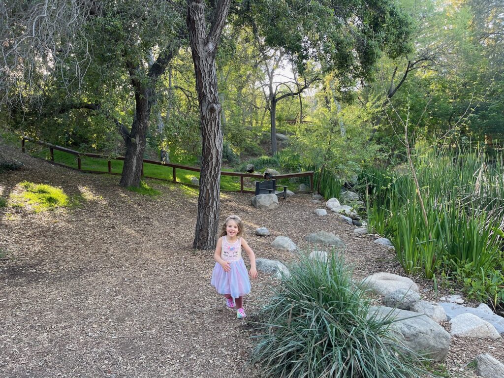 Springtime In Los Angeles - Live and Let's Fly