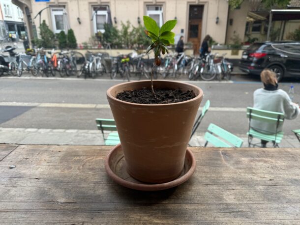 Great Coffee In Basel, Switzerland - Live and Let's Fly