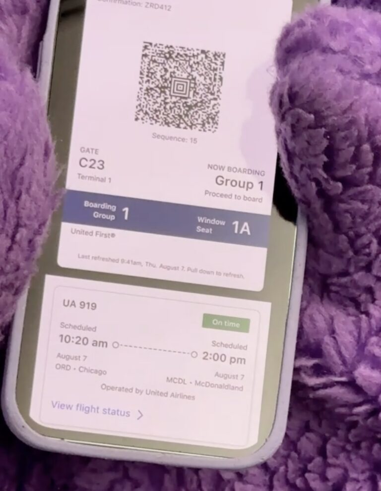 United Flight 919 To McDonaldland With A Purple Seatmate In Polaris ...